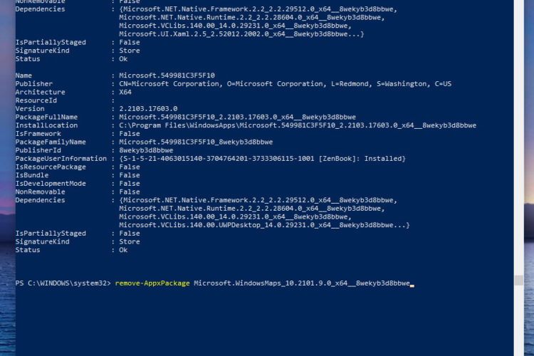 Uninstall di Windows 10 dengan PowerShell | Pemmzchannel