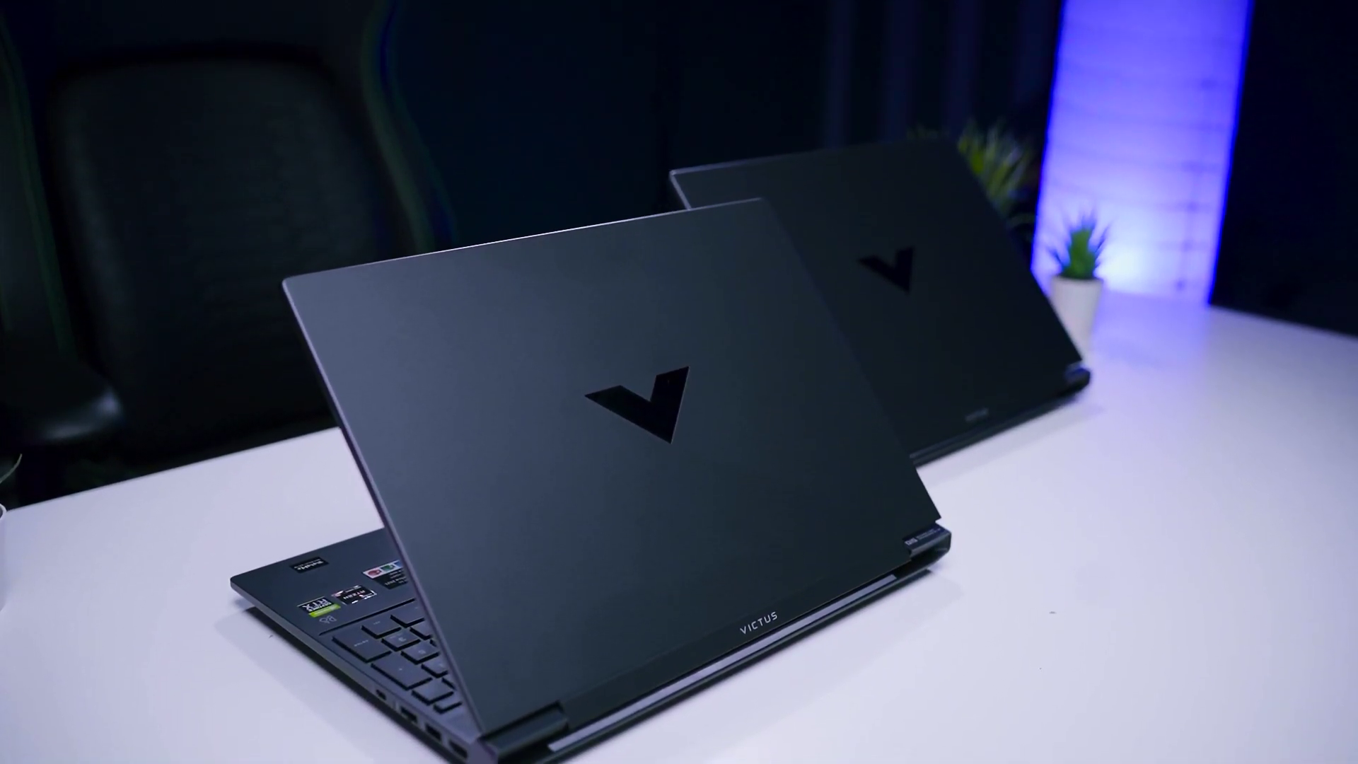 Victus 15 Nvidia vs AMD | Mana Yang Unggul? | Pemmzchannel