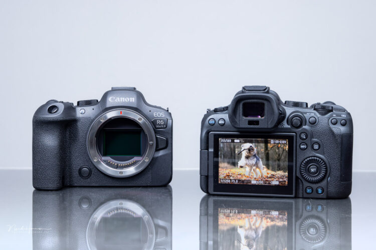 Canon EOS R8 vs R6 Mark II | Pemmzchannel